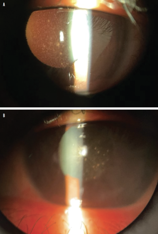 What the Cell Is That?
