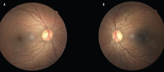 What the Cell Is That?