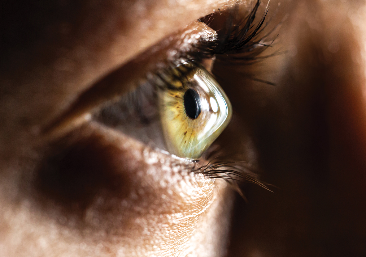 Painting a Clearer Picture of Corneal Scarring in Kera...
